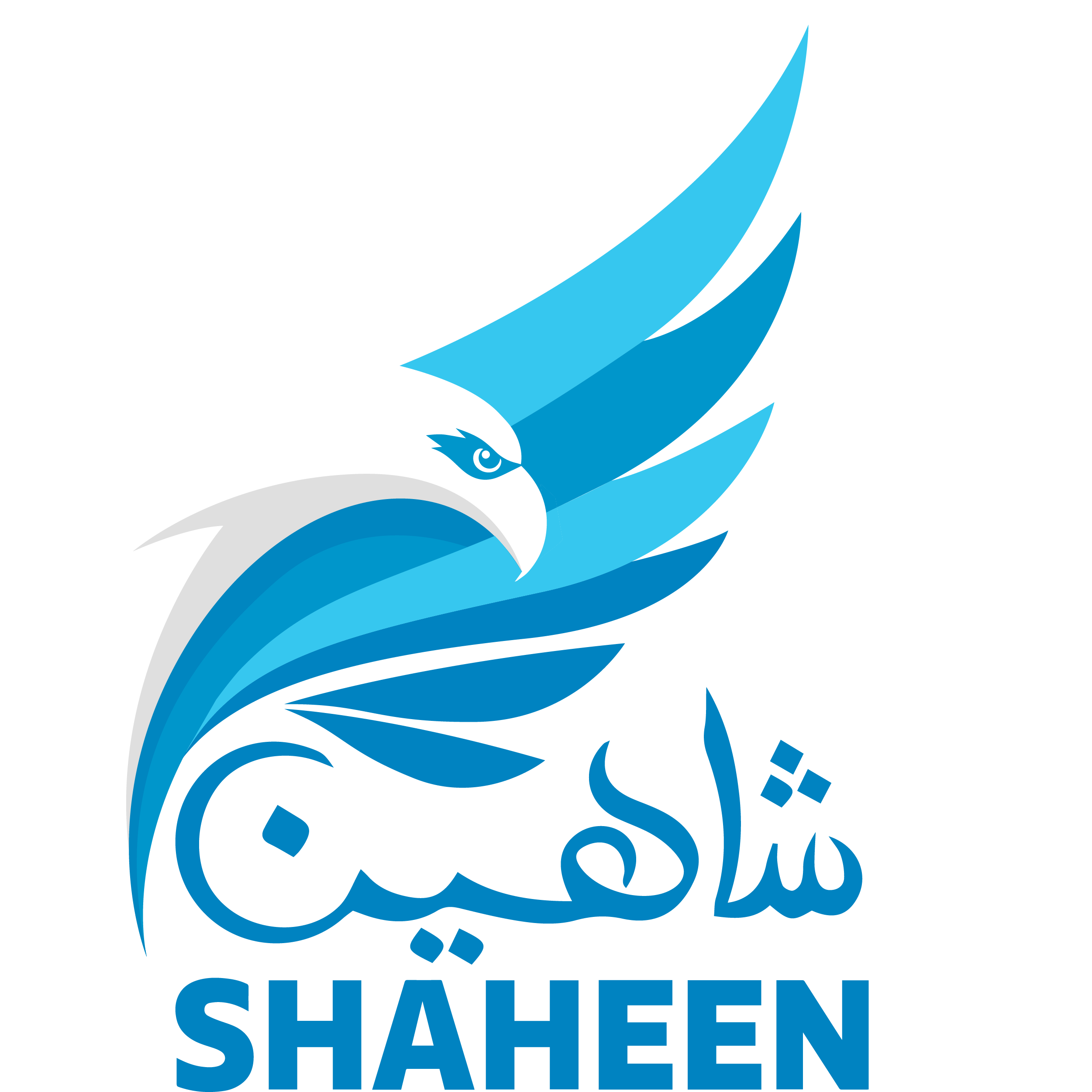 Shaheen: QCRI Machine Translation API